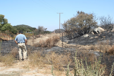 Camissonia's Corner: "Clinton" Fire on the Santa Rosa Plateau