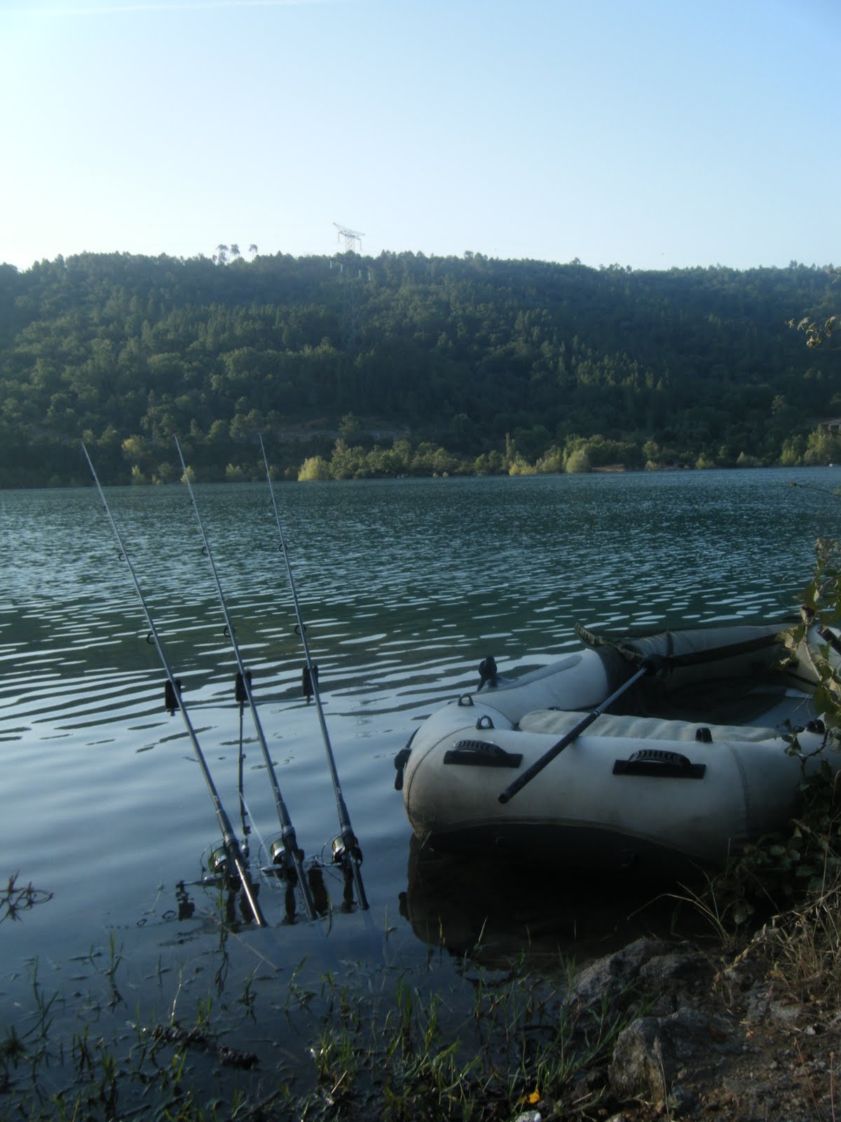 CHOPPED WORM: Lac Saint Cassien 2010