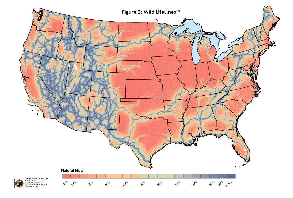 Biodiversity And Wildlands Project Usa Map - United States Map
