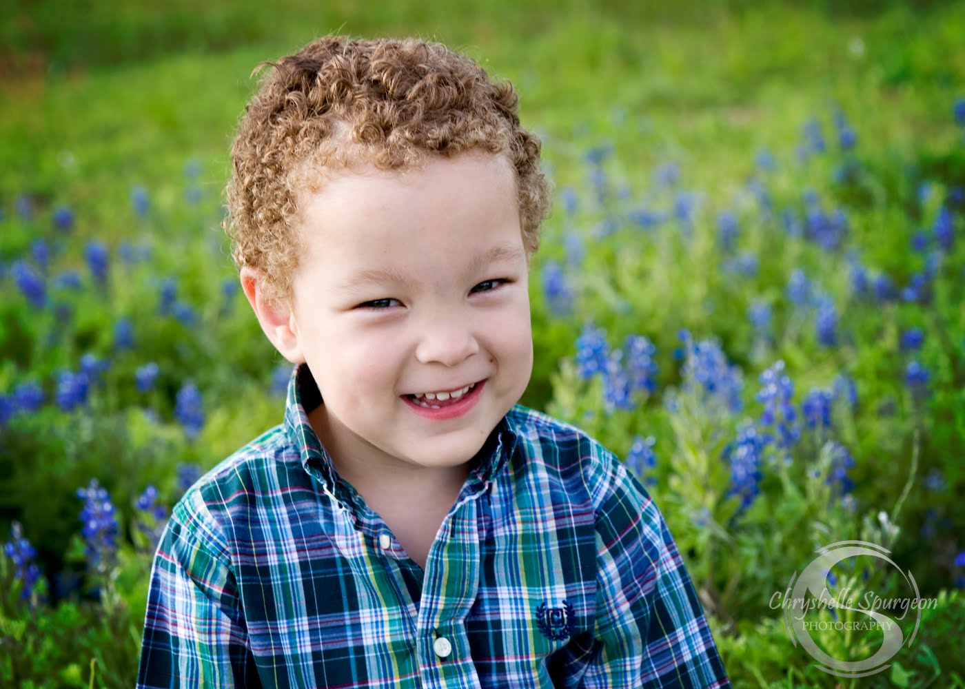 Chryshelle Spurgeon Photography: Bluebonnets Part Deux {Custom ...