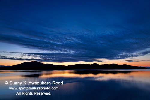 Sunny in Wilderness: Ketchikan, Alaska