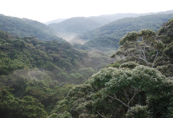 Ten Thousand Things: Biodiversity 100: Preserve the biodiversity on ...