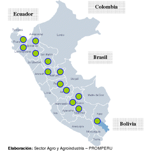 El Café Orgánico: Ficha Técnica
