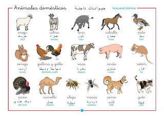 FICHA PARA NIÑOS DE ARABE-ANIMALS DOMESTICOS : ACTIVIDADES PARA NIÑOS