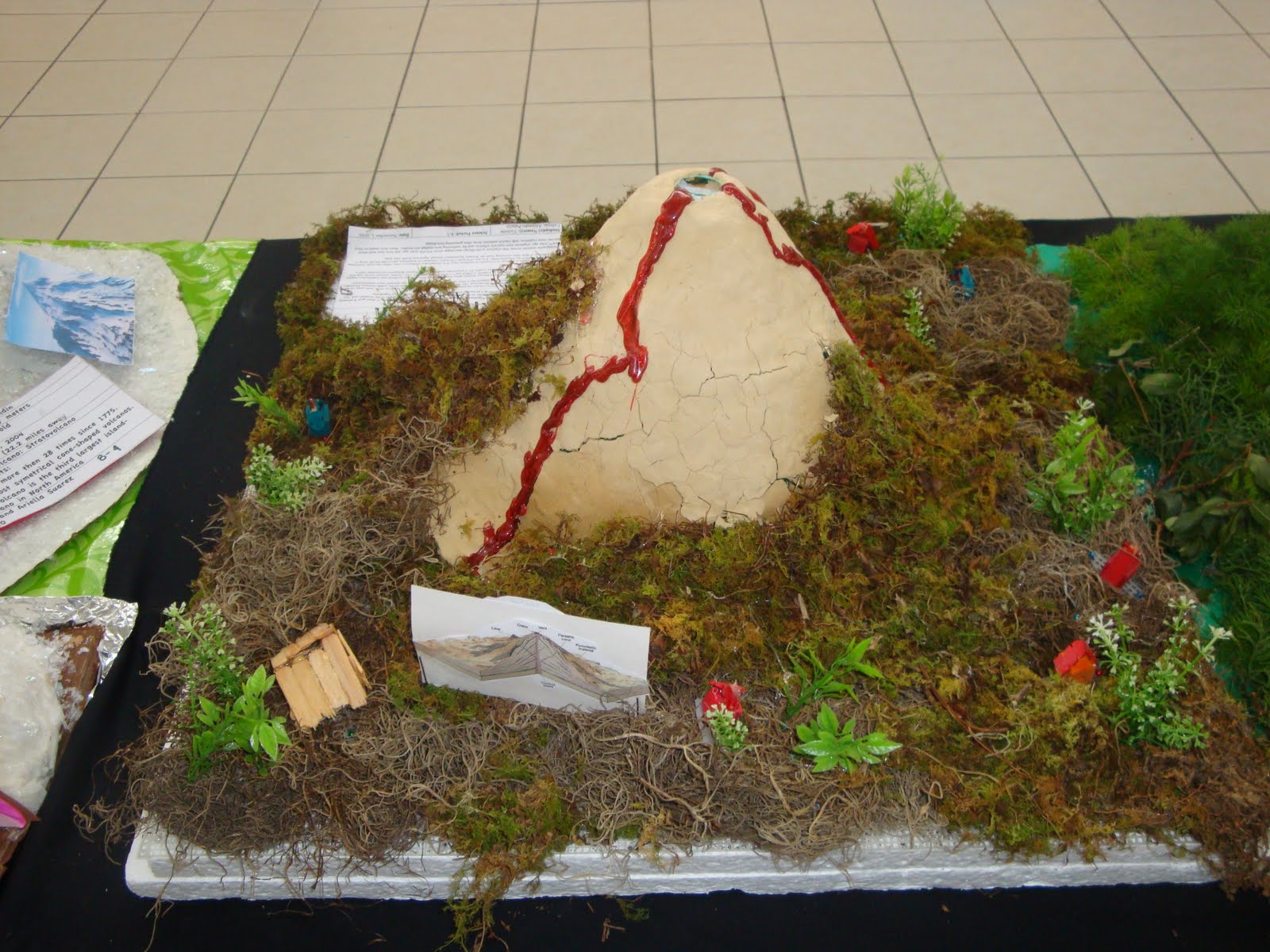Earth Science/ Mrs. Giron: Volcano Projects