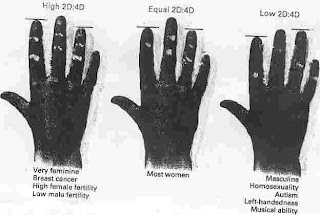 Parents around Seattle: The Future of 2D/ 4D Ratio