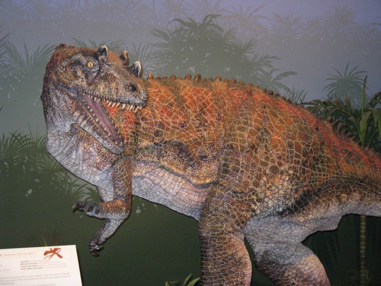 Cranberry Tea Time: The Creation Museum