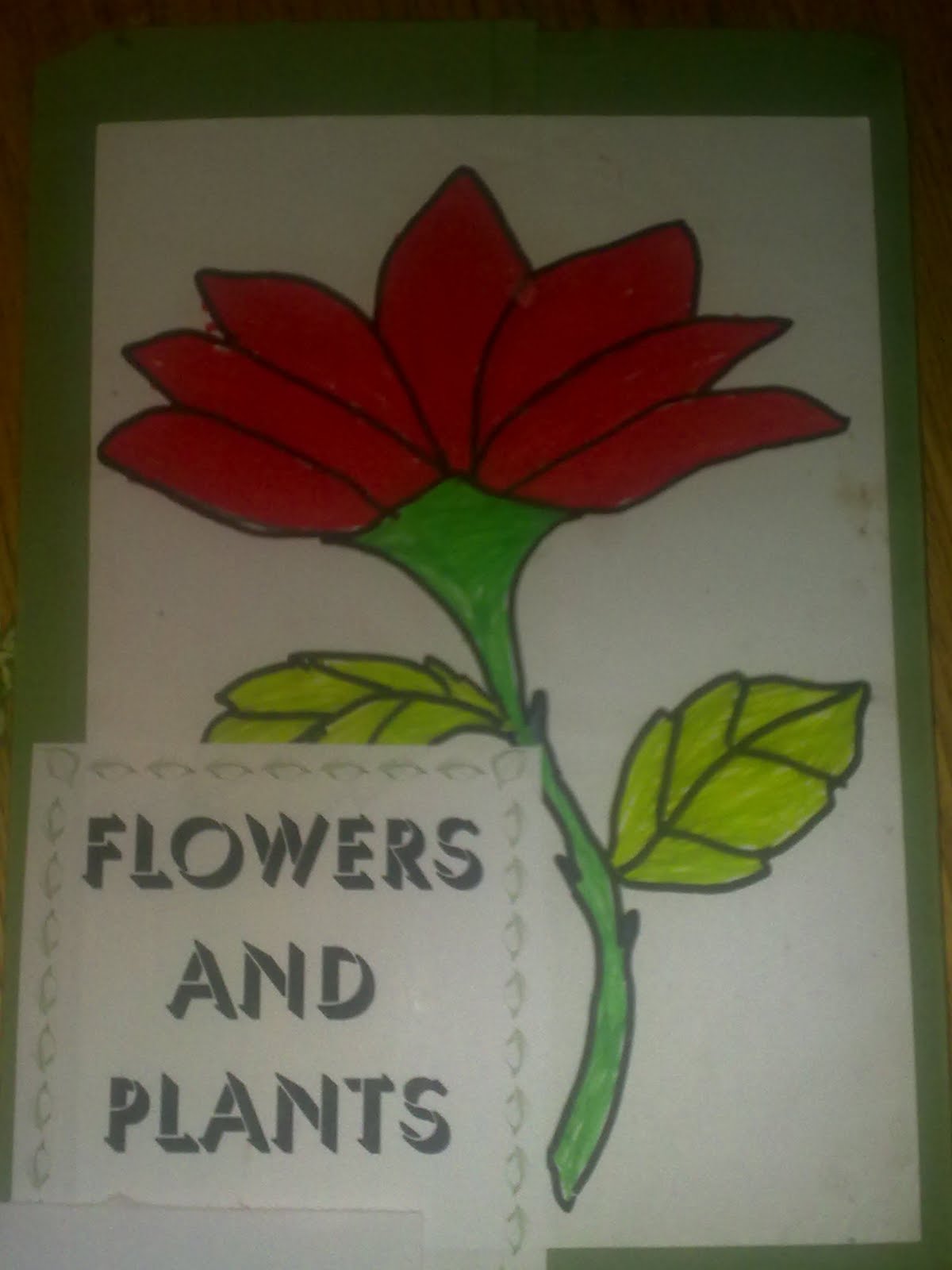 Freestyle Learning: Flower Lapbook