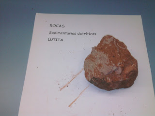 Geología: Lutita