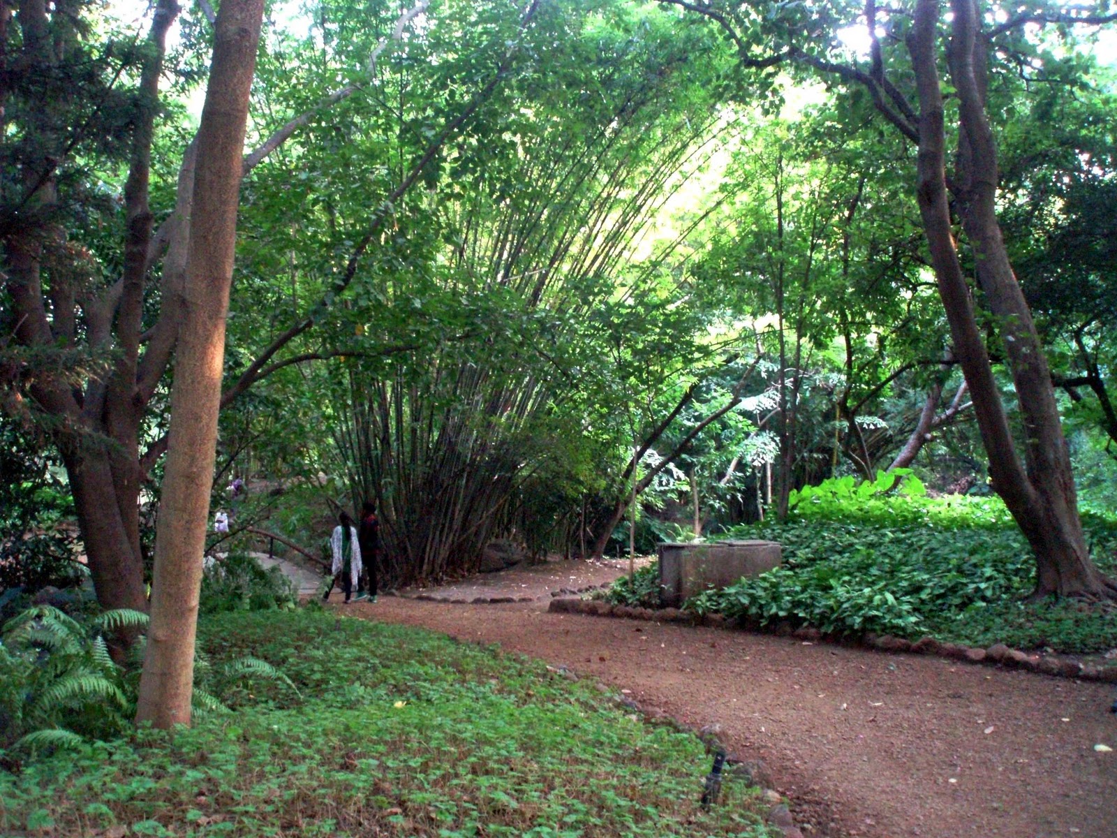 Travelz Unlimited: Osho Teerth Park , Pune : A Photo Feature