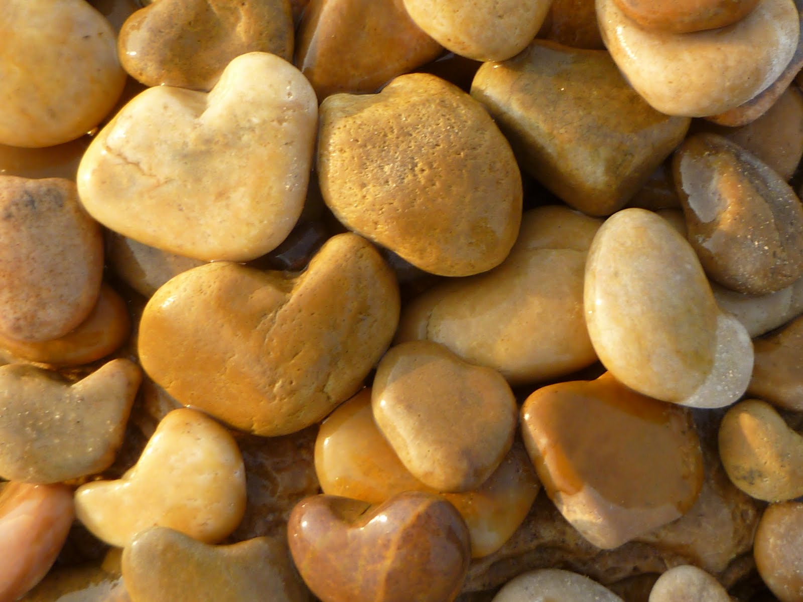 China Picture of the Day: 31 October 2010 ~ 100 Heart Shaped Golden Pebbles