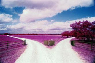 Tempo de Evangelizar: Dois Caminhos e uma Escolha