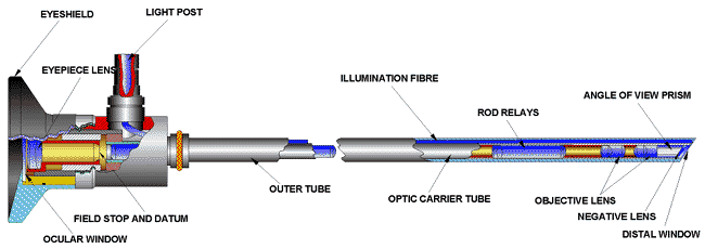 Blog: Shree Meenakshi Orthopaedics & Sports Medicine Clinic: The ...