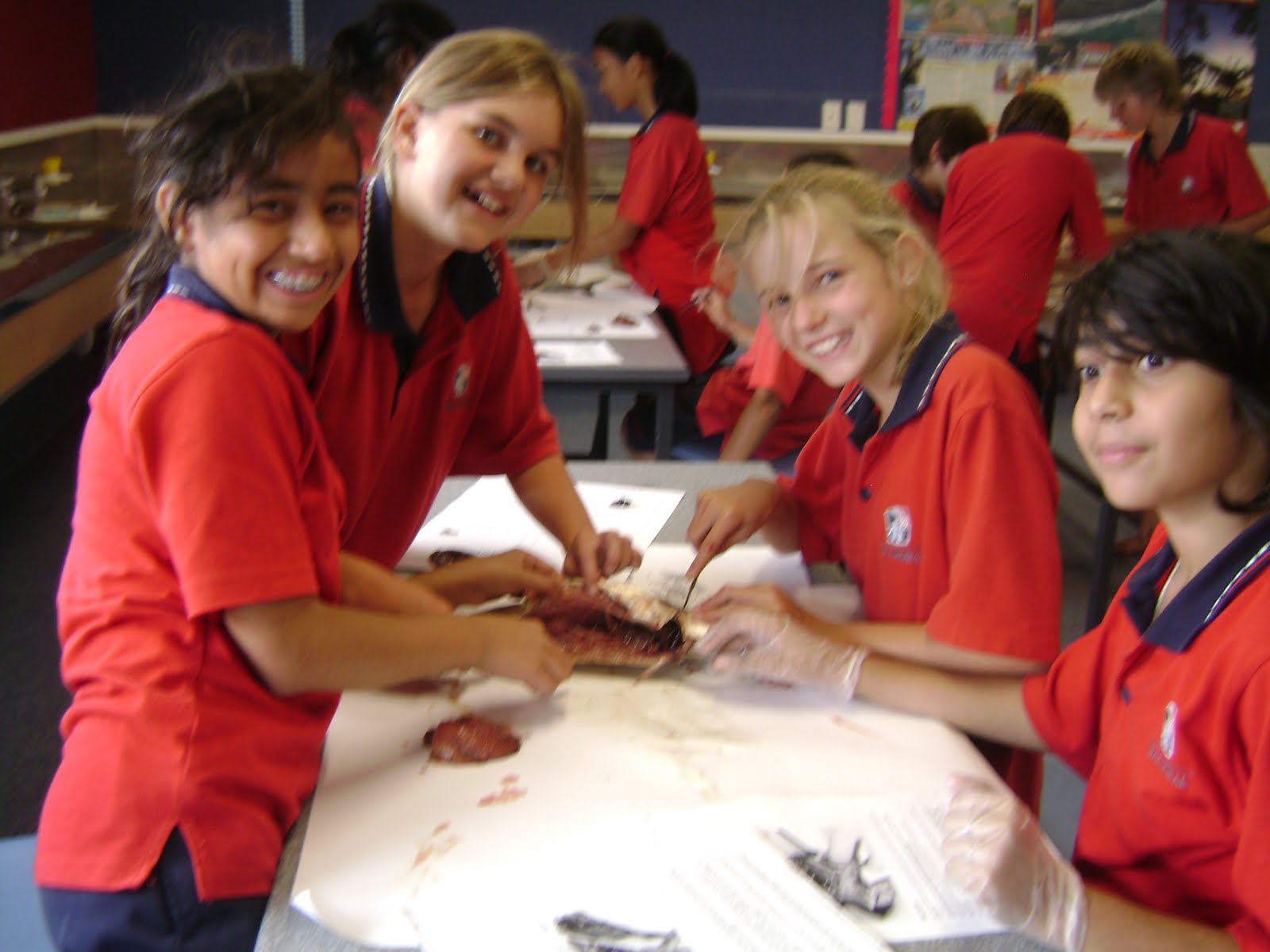 Room 3 OUT THERE!!!: FISH DISSECTION