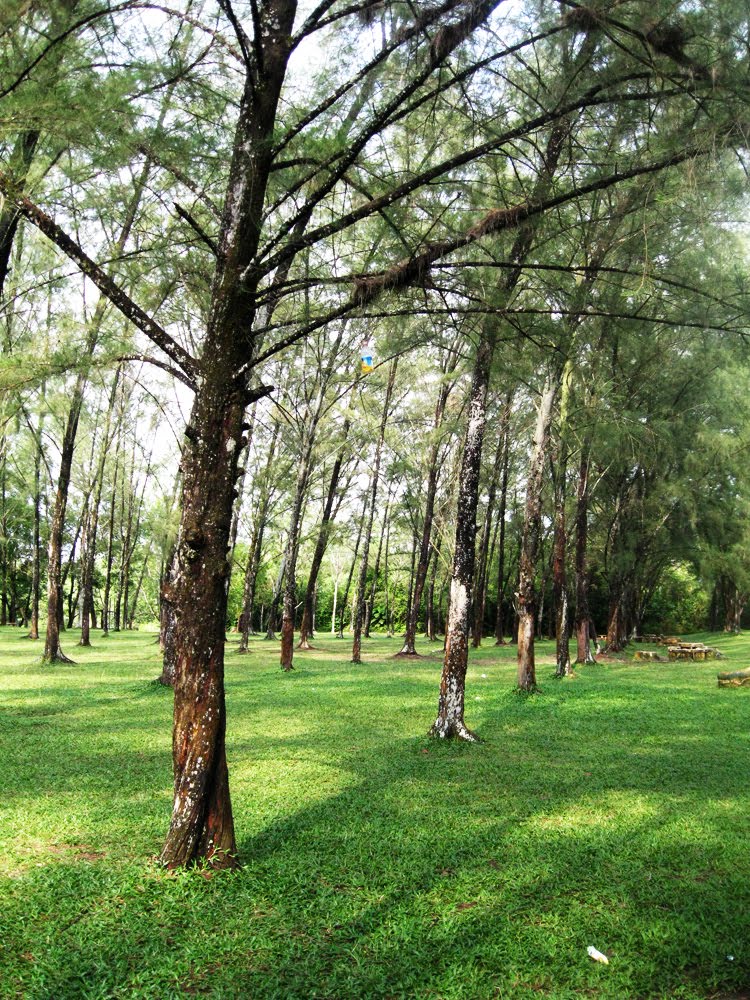 BACKPACKER'S DIARY: KASUARINA PARK, Chevron Camp, Duri, Riau, Indonesia