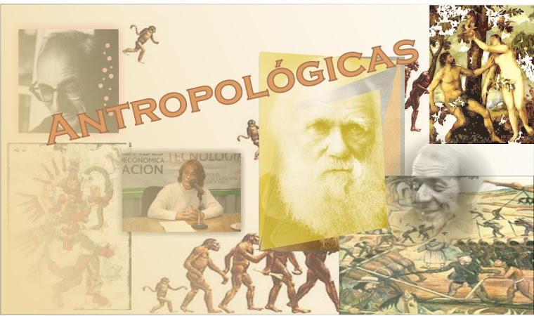 . A n T R o P o L ó G i C a S .: “Un Vasito De Ron” por Rita Nassivera ...