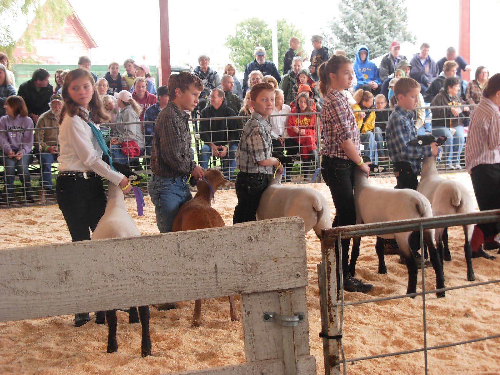 ThE bRoCkBaNk FaMiLy