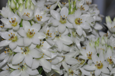 Whitehaven: Bringing the Outside In