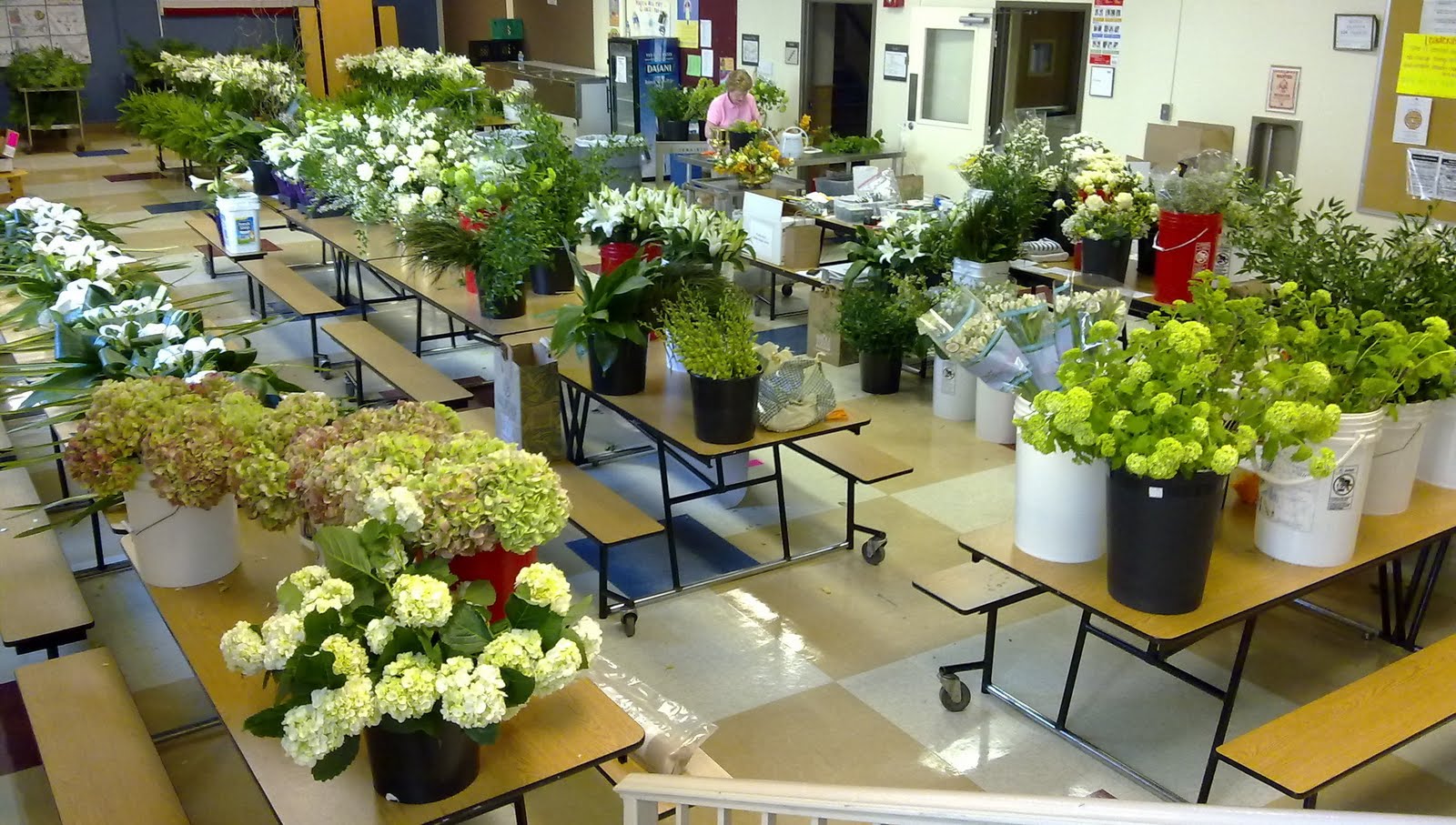 Whitehaven: Easter Flower Frenzy!