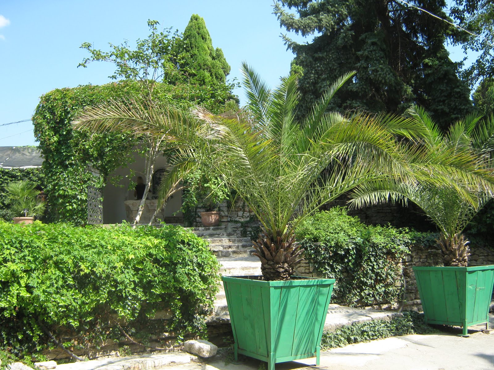 Pin Travel: Gradina botanica din Balcic