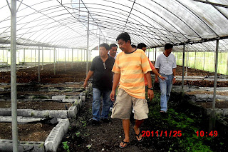 Taga Ibaan Ako: Ibaan Barangay Chairmen Sent To Vermiculture Training