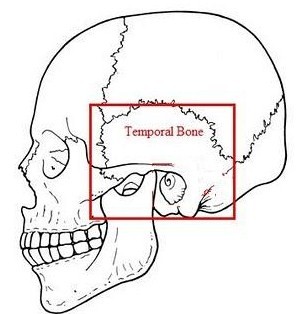 Think: The Anatomical Temple