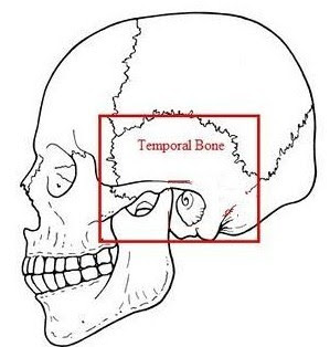 Think: The Anatomical Temple
