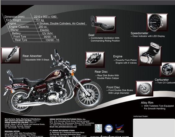 Below 300cc: Naza Cruise 250