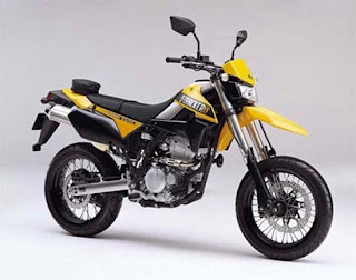 Below 300cc: Kawasaki D-Tracker 250