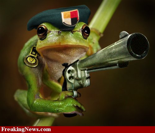 List 90+ Pictures Kermit The Frog Holding A Gun Sharp