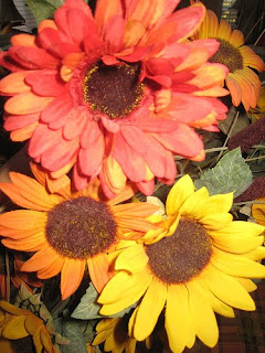 design: analogous color schemes