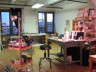 Museum of Contemporary Art, Chicago: Works In Progress: Deb Sokolow