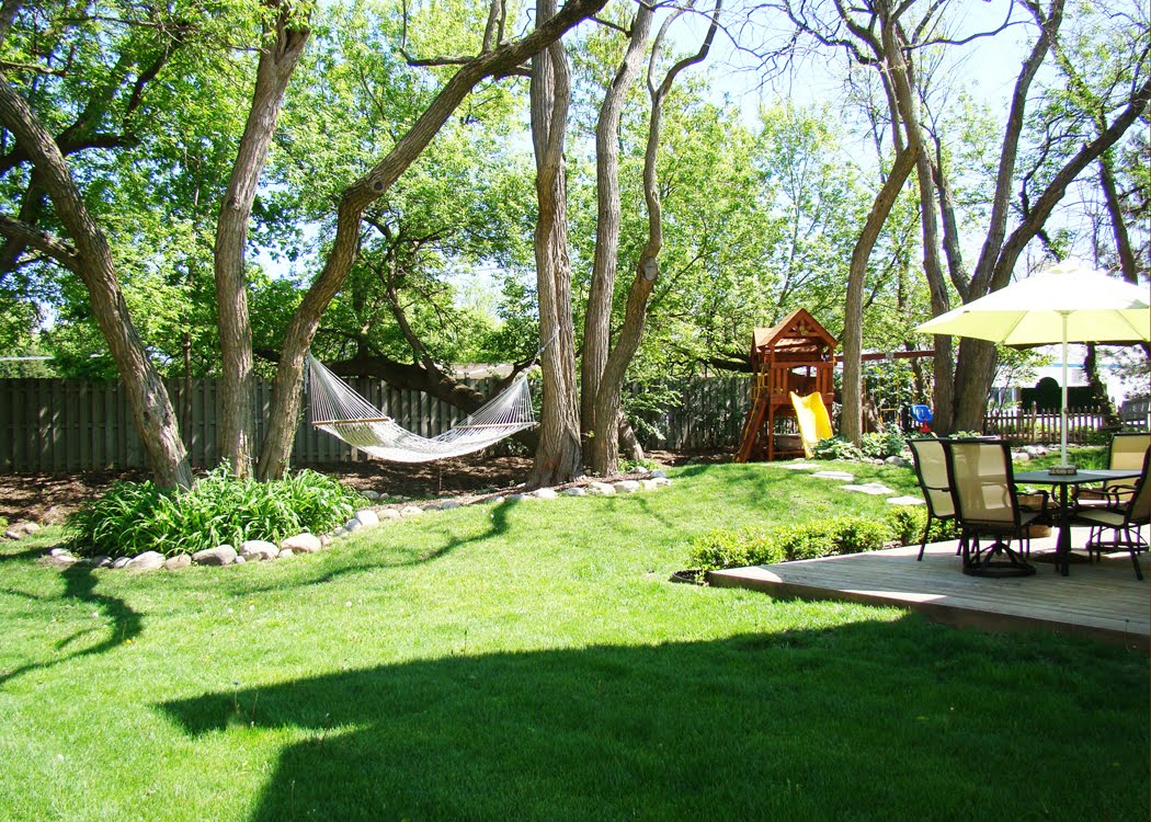 skoots and cuddles: our backyard