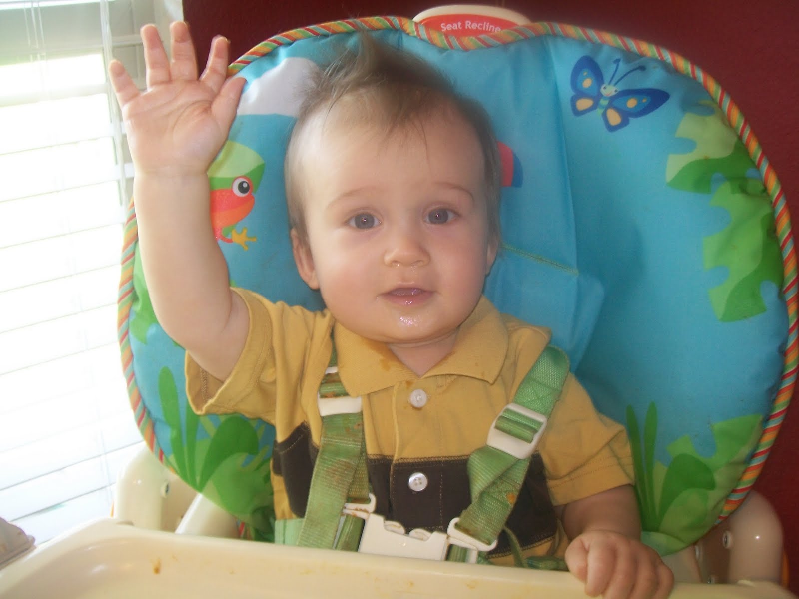 The Tillotson Family: Bananas & BBQ Birthday Bash!