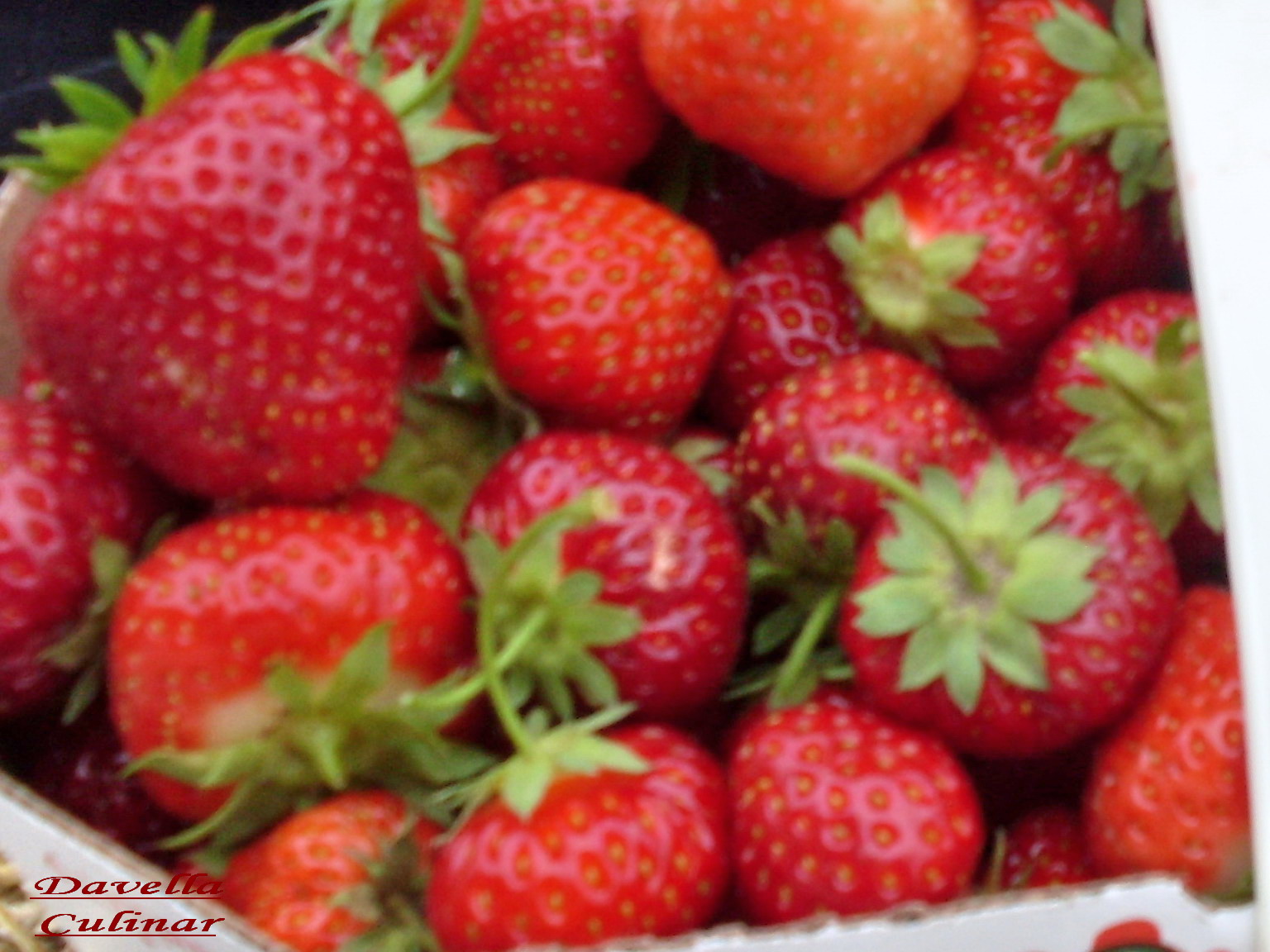 *DAVELLA CULINAR*: L’autocueillette de fraises du Québec / La cules de ...