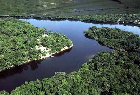 FLORESTA NACIONAL DE RORAIMA ~ Conhecimento é tudo