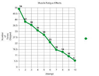 flexinduction biology: Muscle Fatigue