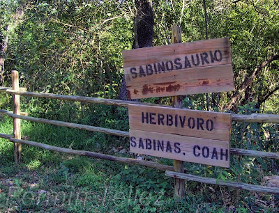 Monterrey, México: El Sabinosaurio y El Monstruo de Aramberri