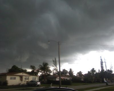 Hurricane Harbor: Miami Monsoons & The Loop Current