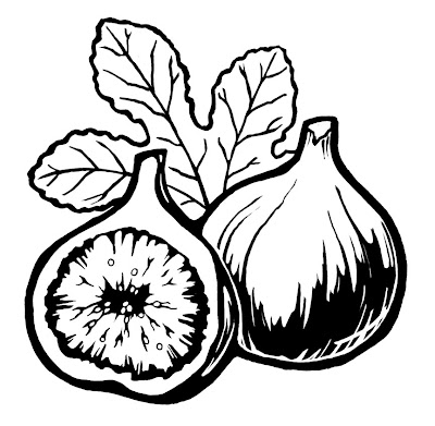 Fig Coloring Page Sketch Coloring Page