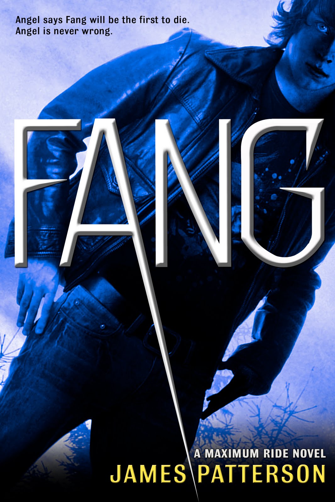Burning Book Reviews: Fang