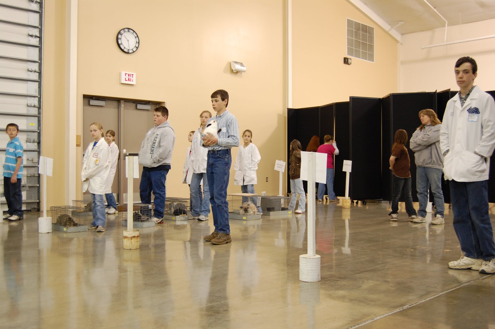 Wells County 4-H Fair: NE Indiana Rabbit Show at Wells County 4-H ...