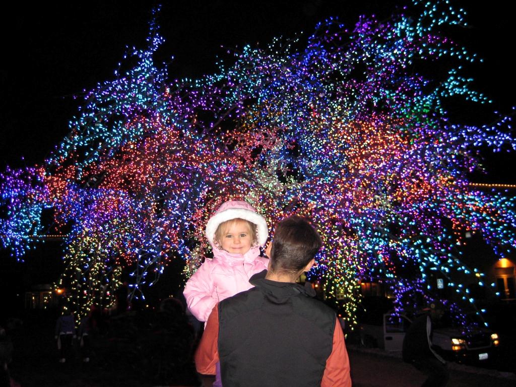 Kaufman Kronicles: A Visit to the Magic Tree