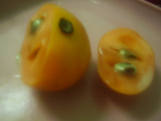 Khazanah Alam: Ini dia mencepu a.k.a ceghopu