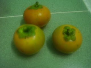 Khazanah Alam: Ini dia mencepu a.k.a ceghopu