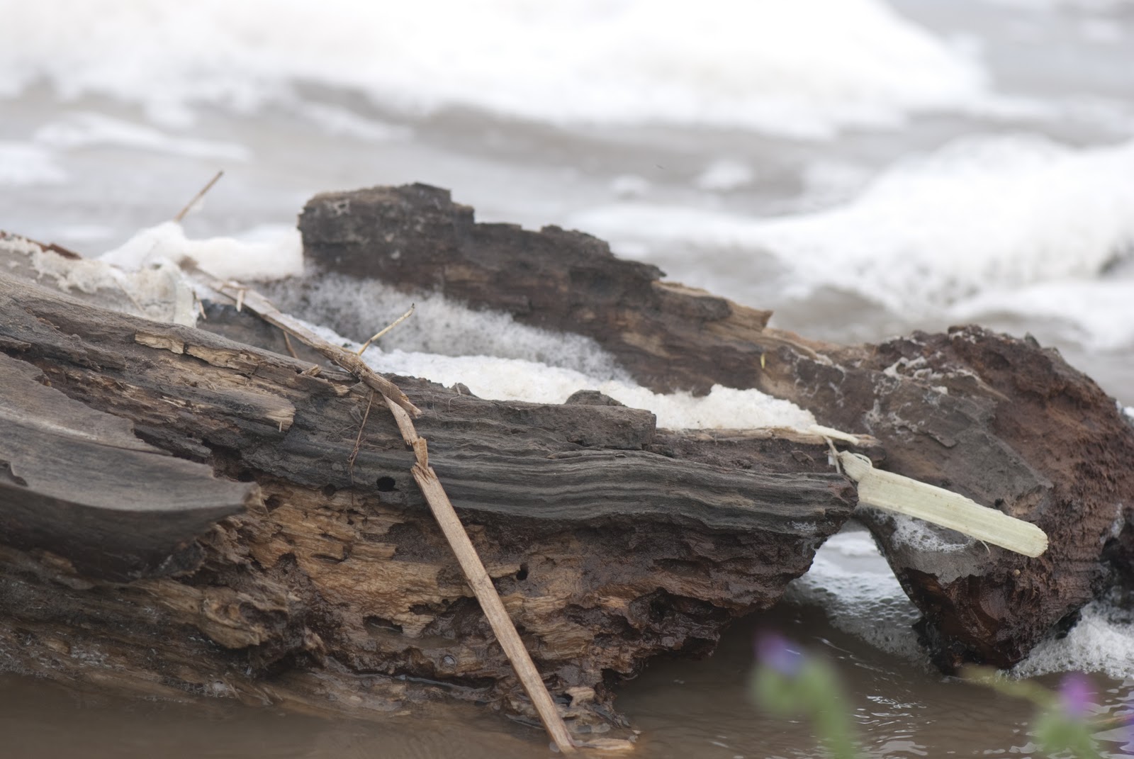 A Photo A Day: Debris from the storm