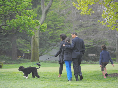 Pet Pedia: Obama Family enjoying with pet dog "BO OBAMA"