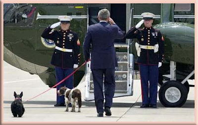 Pet Pedia: President Bush with "Scottish Terriers"