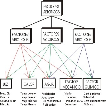 Los Amos De La Biologia: FACTORES ECOLÓGICOS DEL MEDIO AMBIENTE