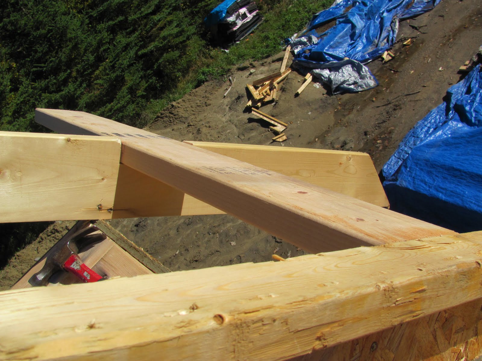 Jon's Minnesota Cabin: Why Construction Takes So Long